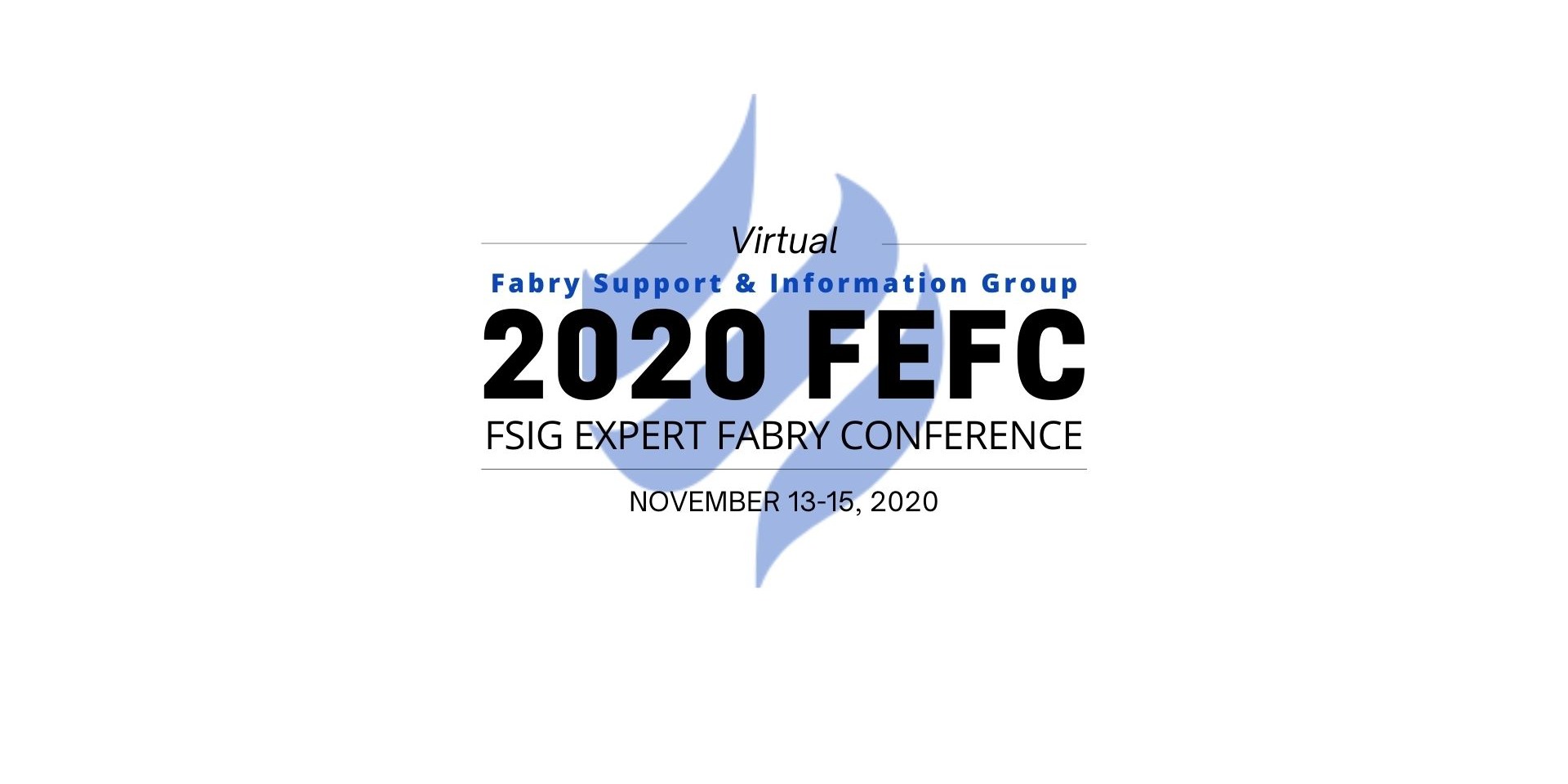 FSIG Expert Fabry Conference